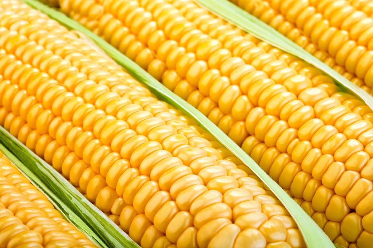 Entenda a importância das ferrovias para o transporte de milho no Brasil