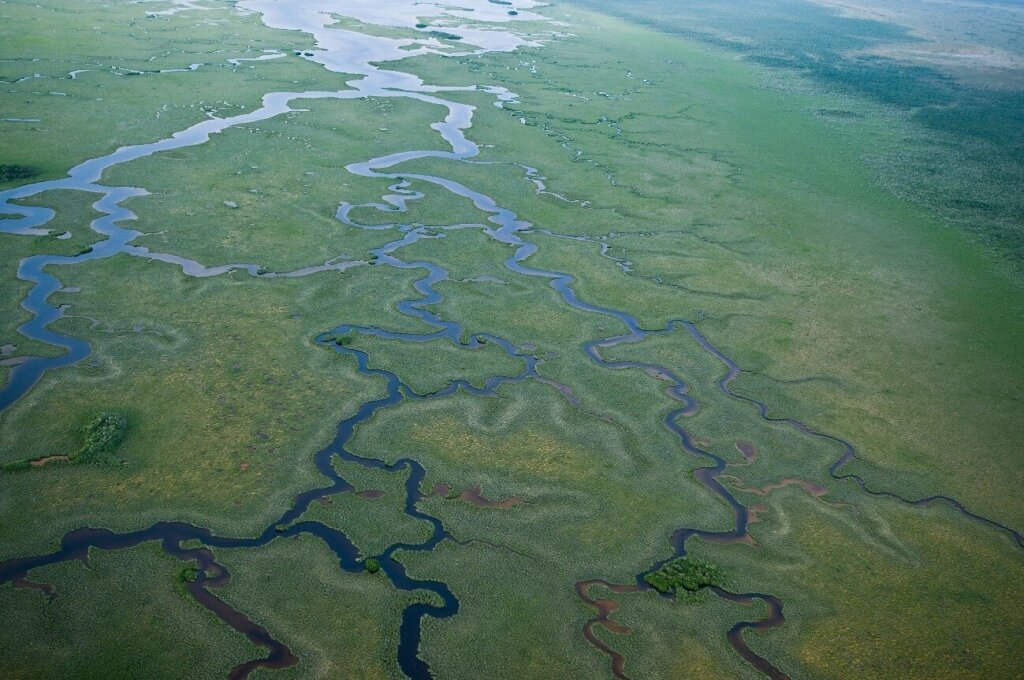 Ferrovia do Pantanal: uma solução para o escoamento agrícola - Massa